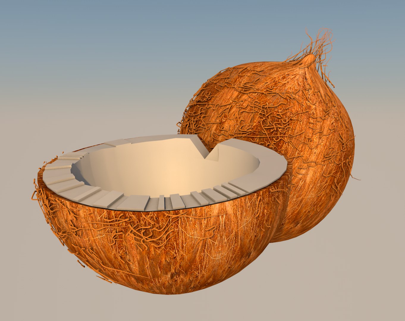 3D Coconut Model - TurboSquid 1363219