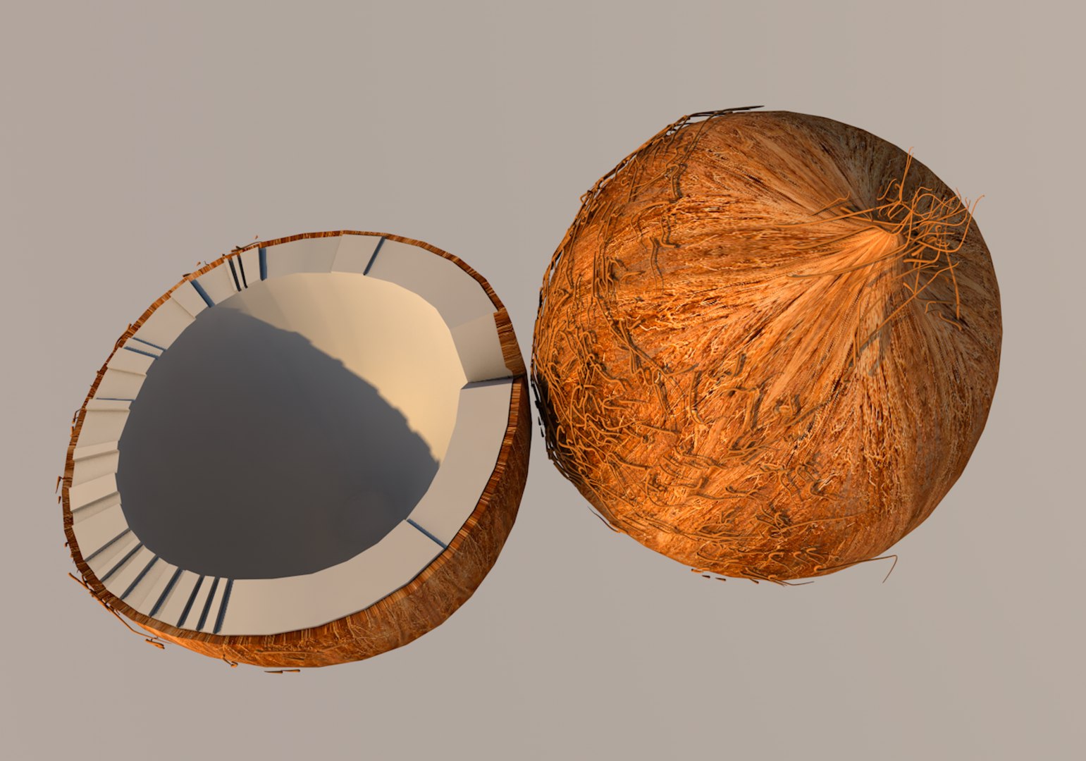 3D Coconut Model - TurboSquid 1363219
