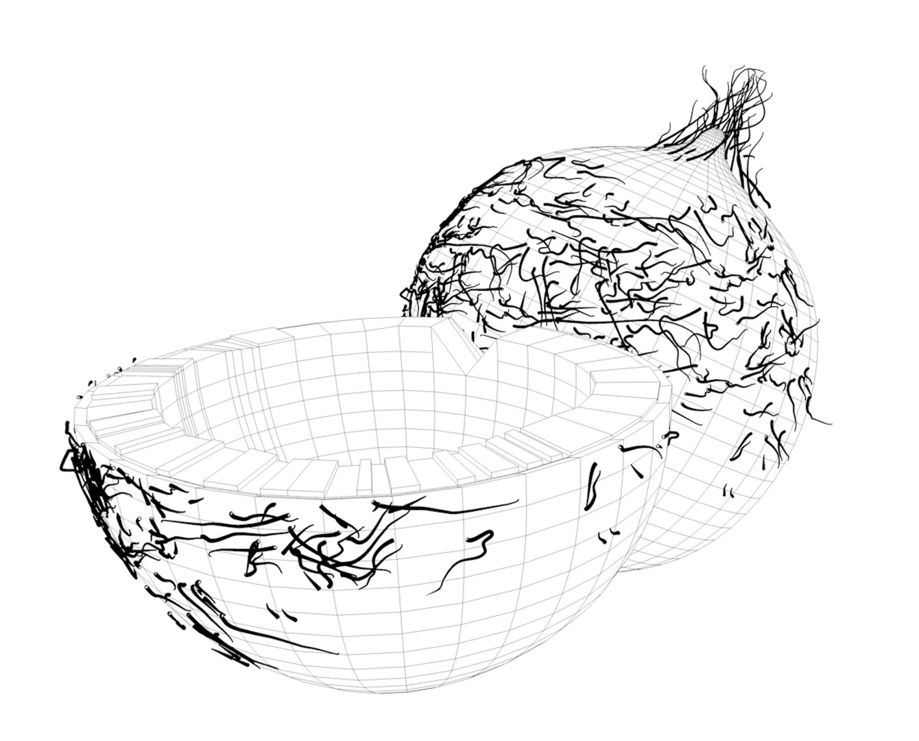 3D Coconut Model - TurboSquid 1363219