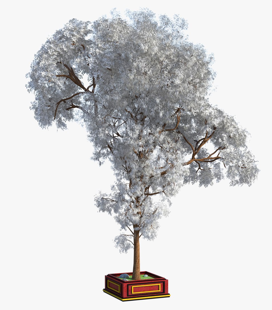 3D Tree Japan Japanese - TurboSquid 1346189