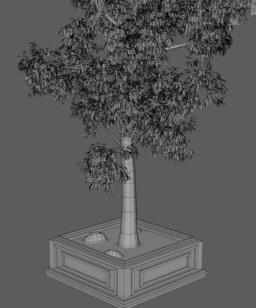 3D Tree Japan Japanese - TurboSquid 1346189