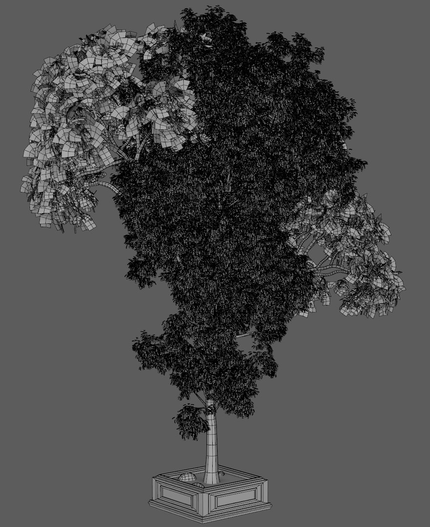 3D Tree Japan Japanese - TurboSquid 1346189