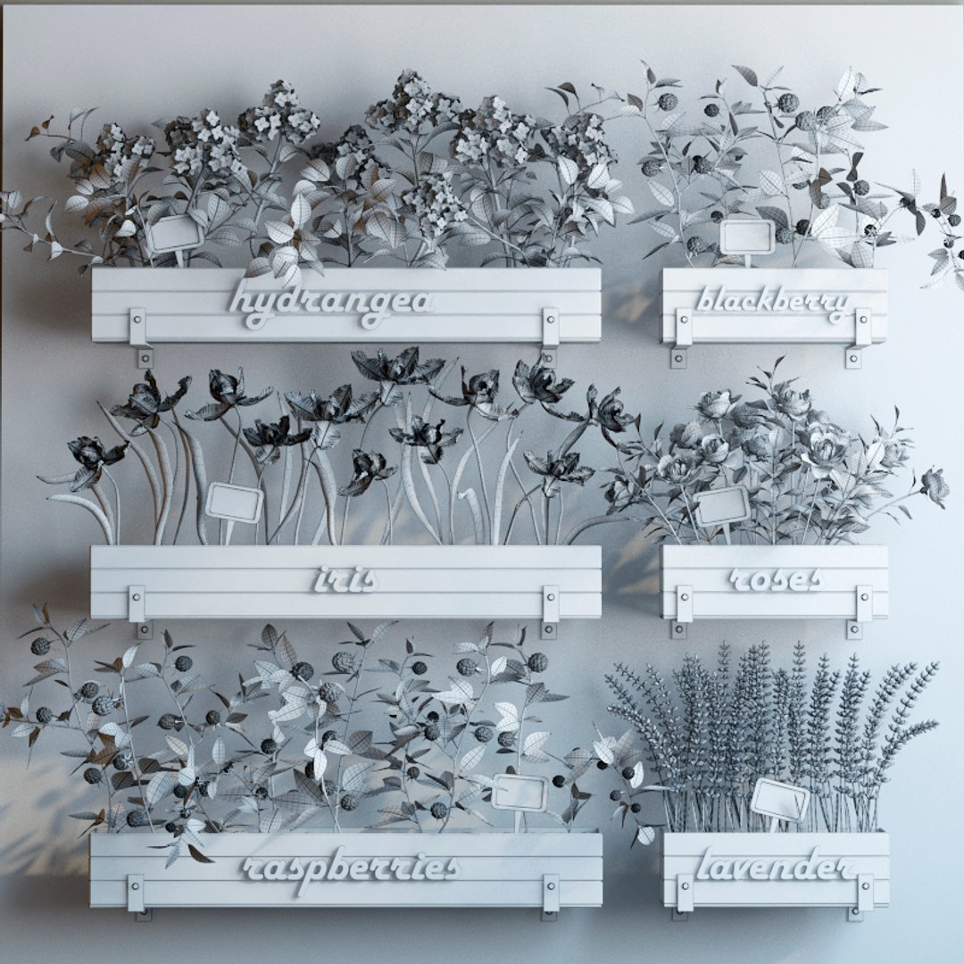 3d Model Of Kitchen Garden