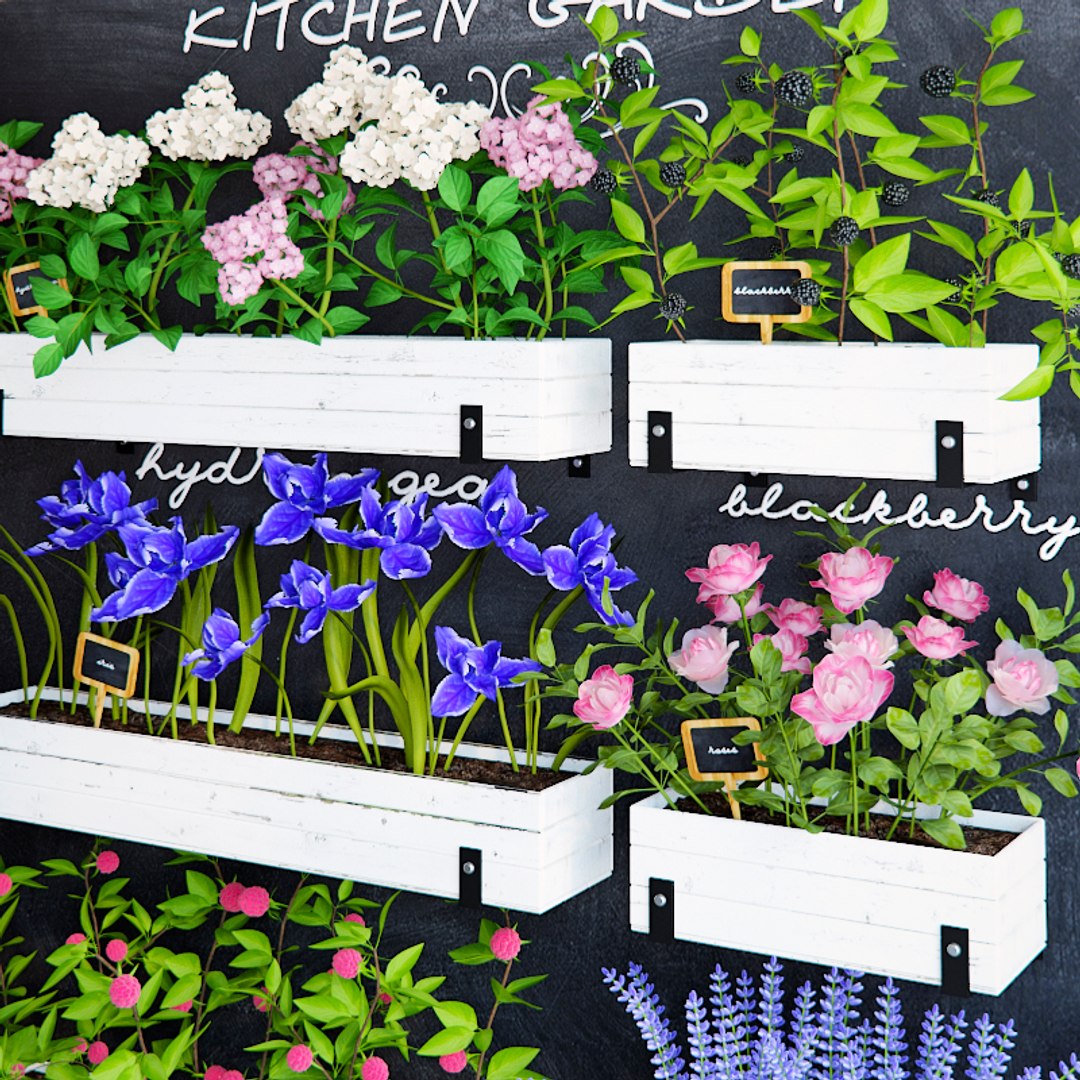 3d Model Of Kitchen Garden