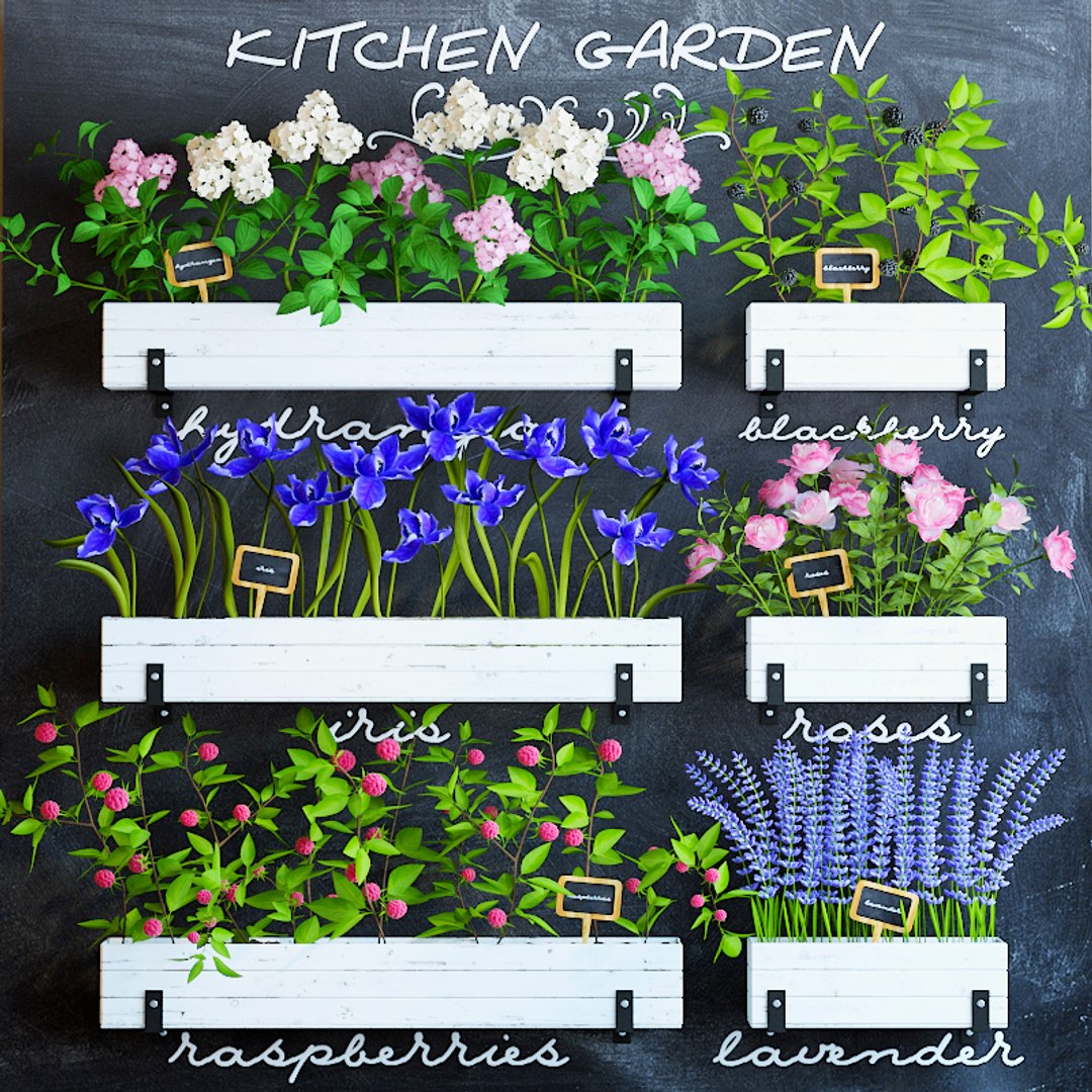 3d Model Of Kitchen Garden