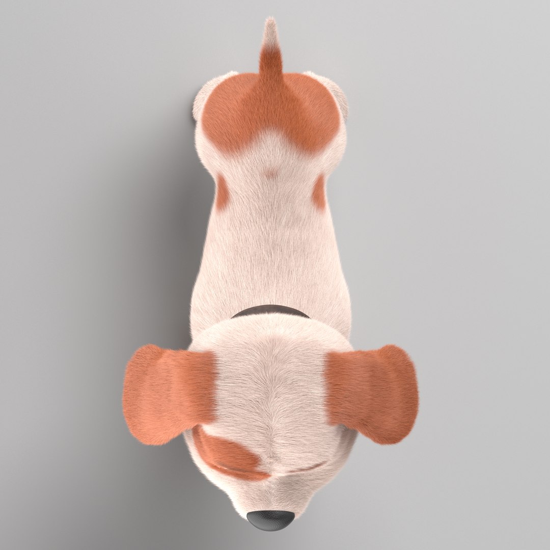 3D Ruby Cartoon Dog Rig Maya - TurboSquid 2207073