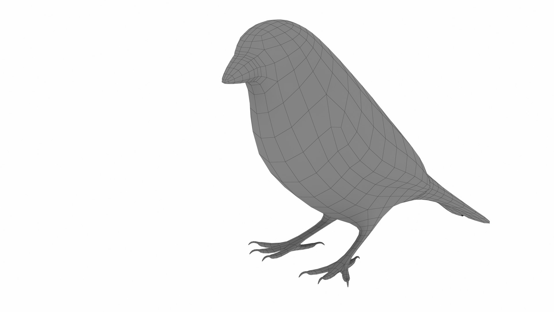 3D Sparrow - TurboSquid 2329881