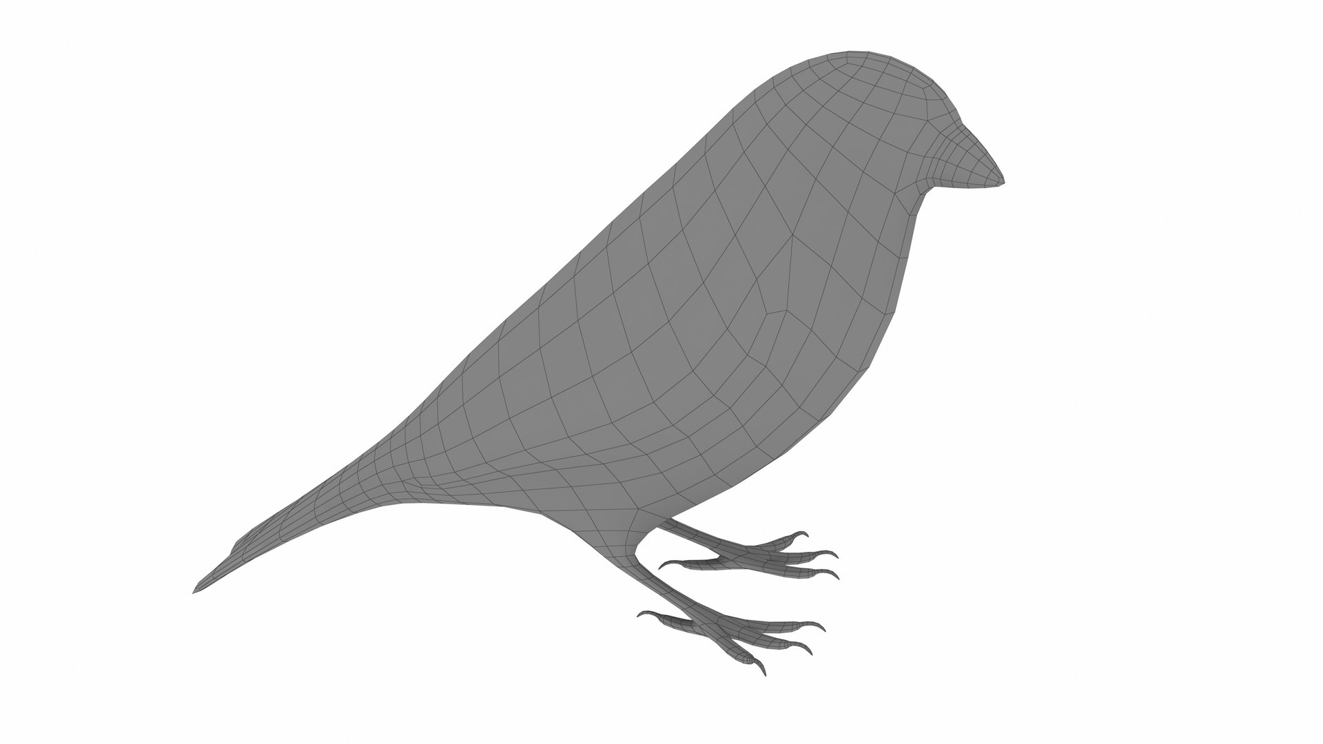 3D Sparrow - TurboSquid 2329881