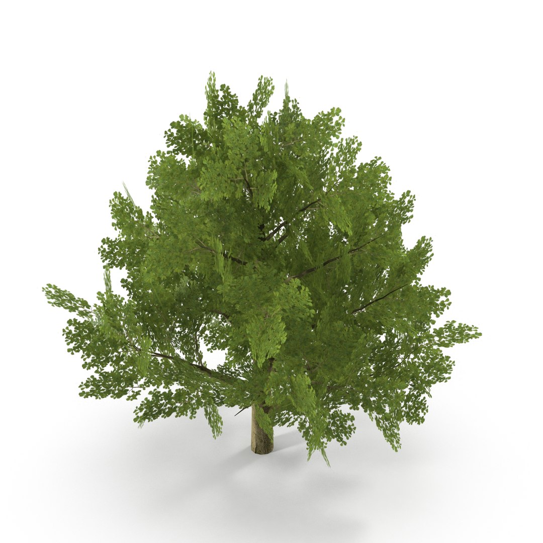 Oak Low Poly V2 3D Model - TurboSquid 2299955