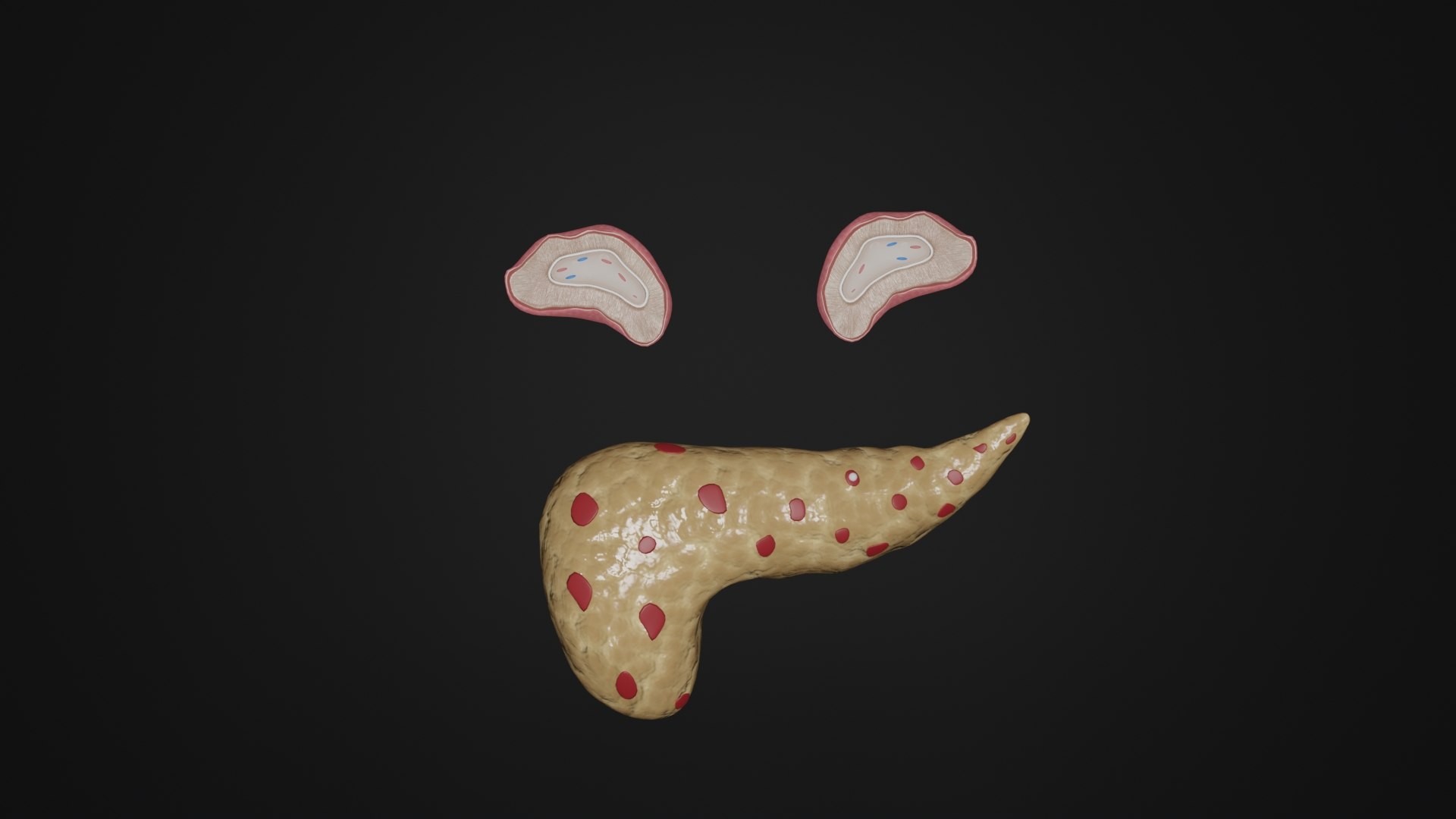 Human Anatomy-Endocrine System Model - TurboSquid 2229867