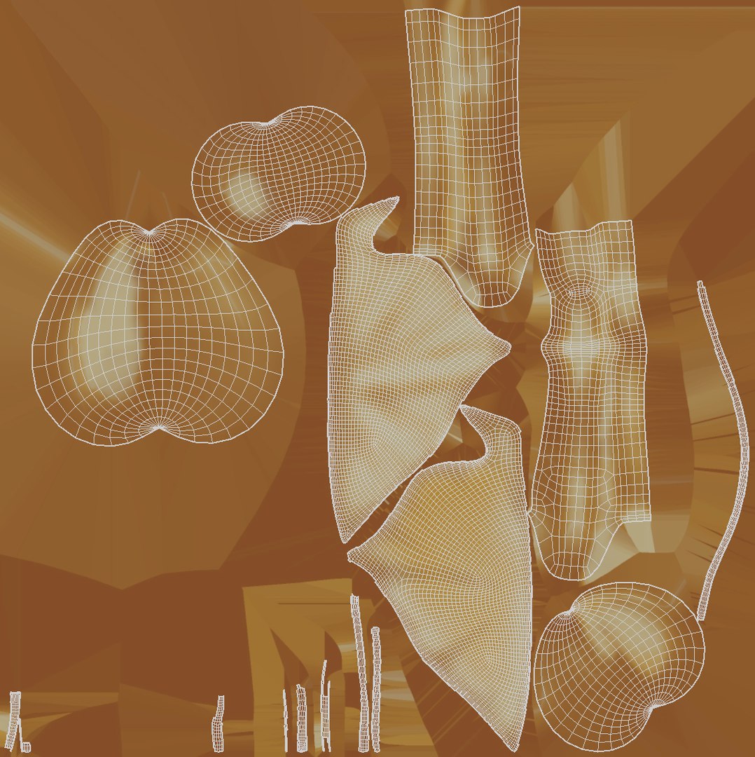 Human Anatomy-Endocrine System Model - TurboSquid 2229867