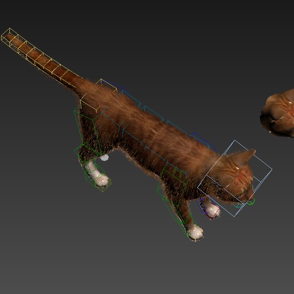 3D модель Рыжий Кот - TurboSquid 995579