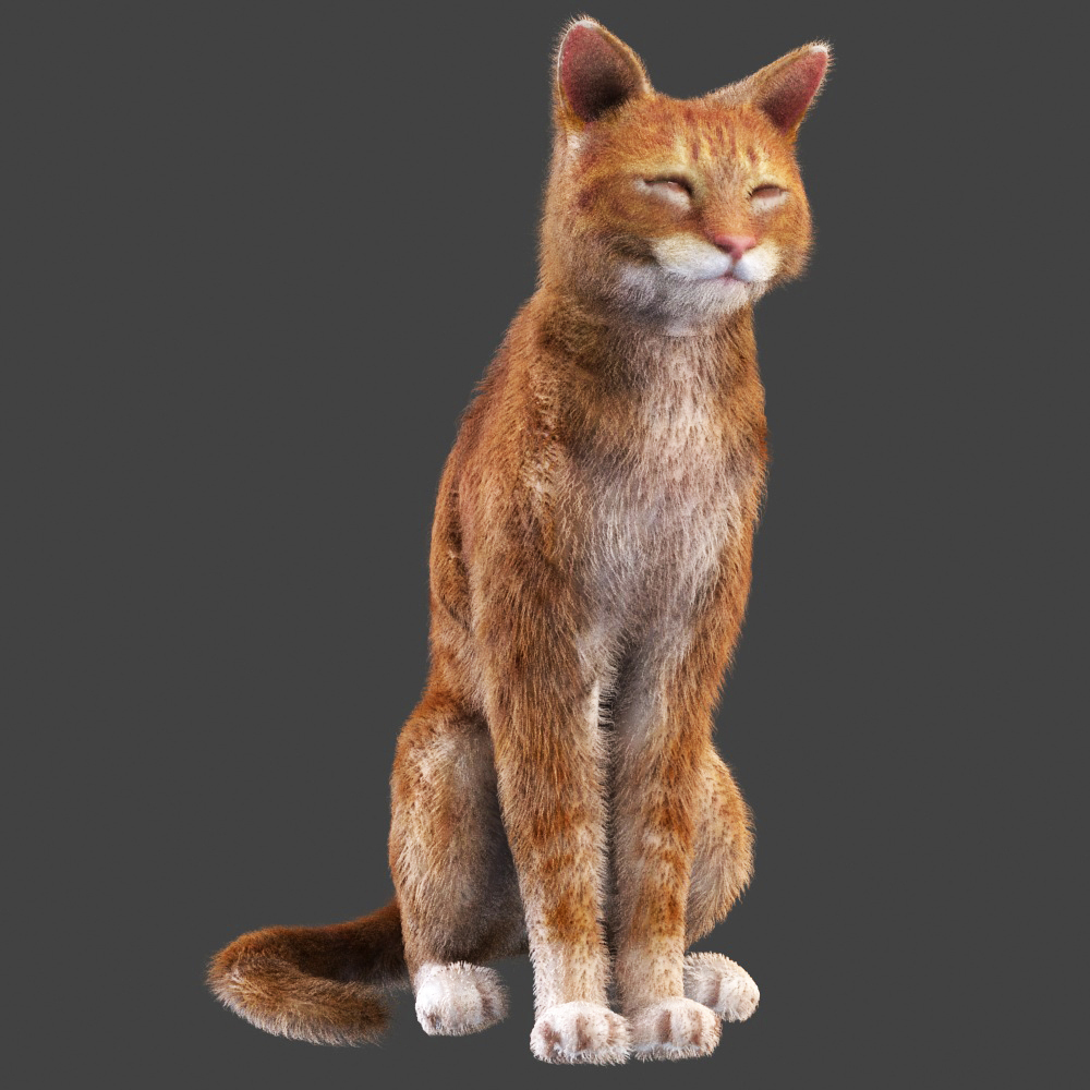 3D модель Рыжий Кот - TurboSquid 995579