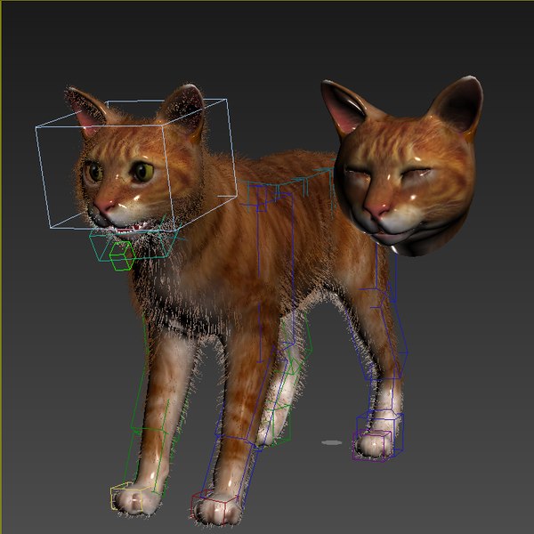 3D модель Рыжий Кот - TurboSquid 995579