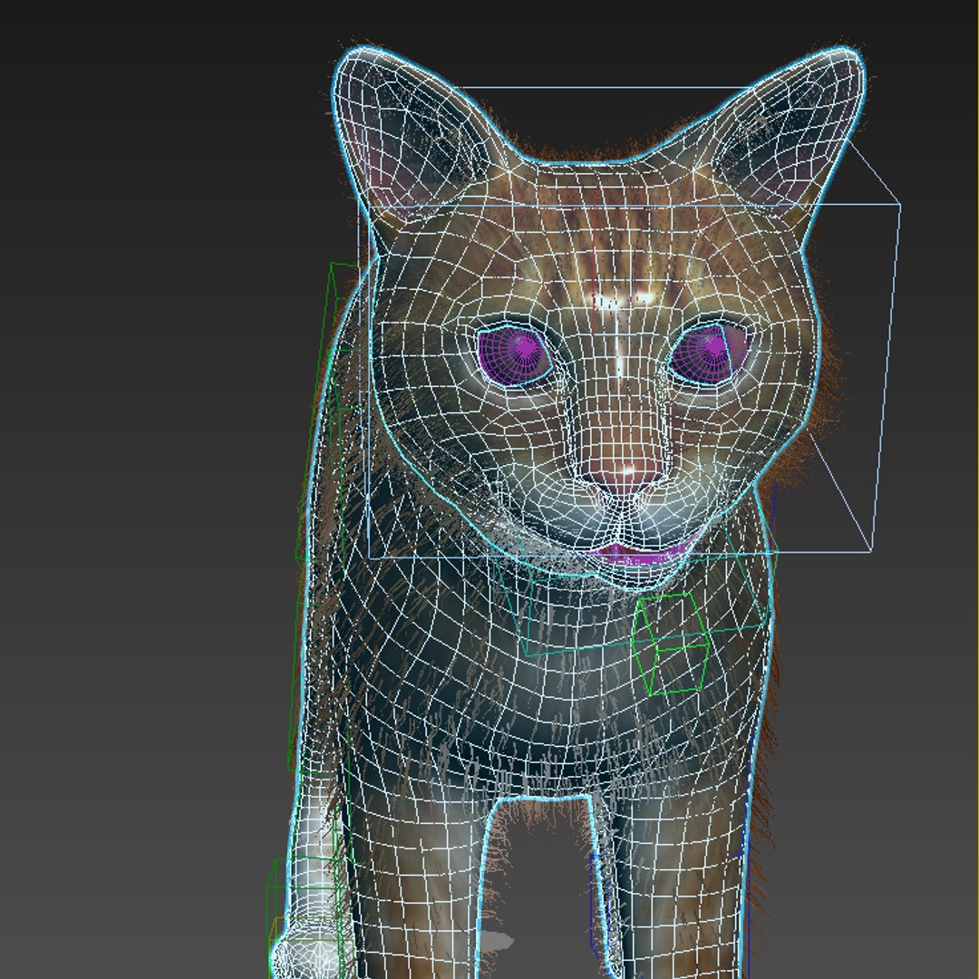 Red Cat Rigged 3d Max