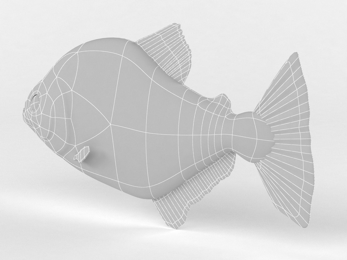 3D Piranha Modeled Model - TurboSquid 1339770
