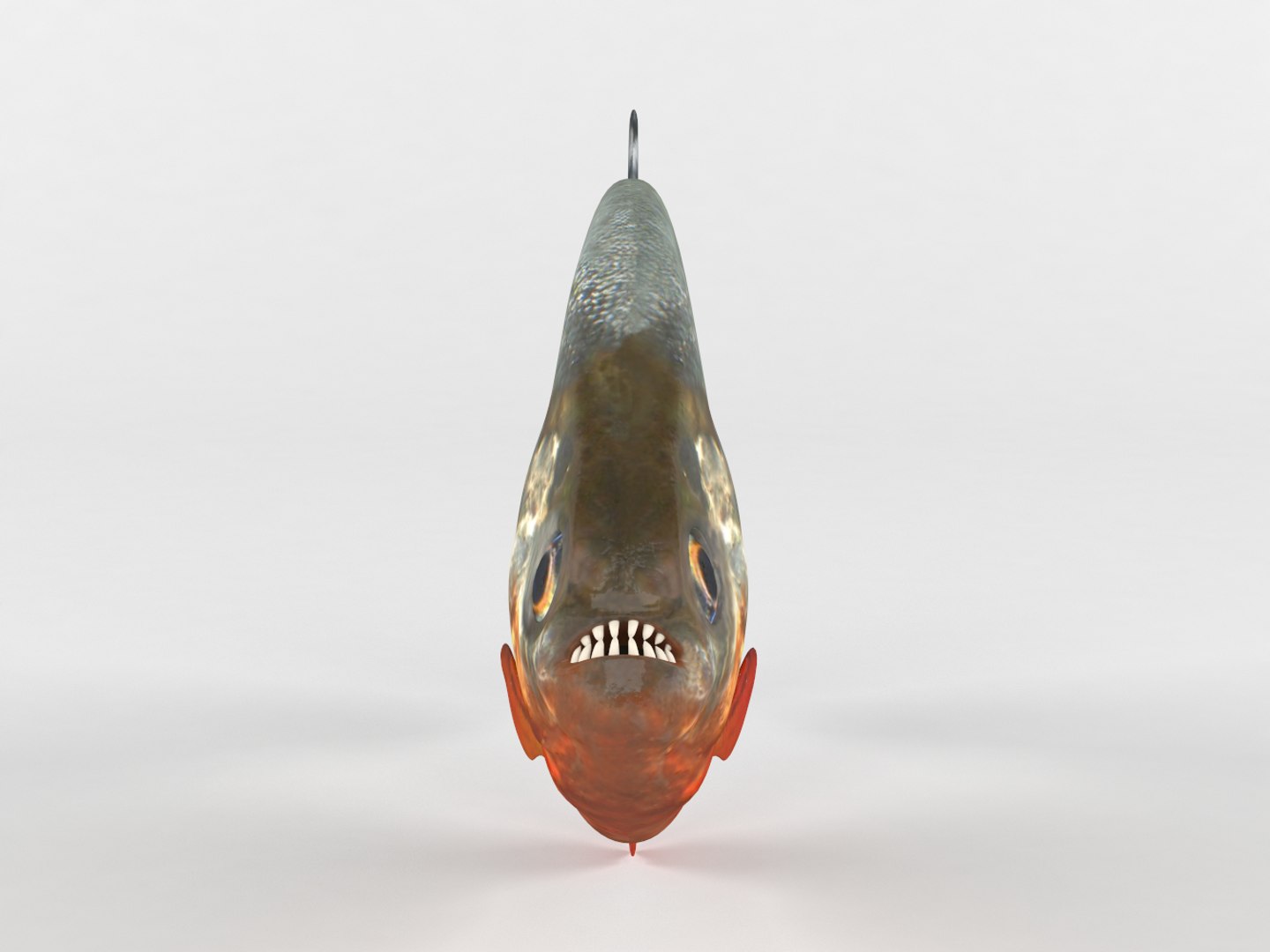3D Piranha Modeled Model - TurboSquid 1339770