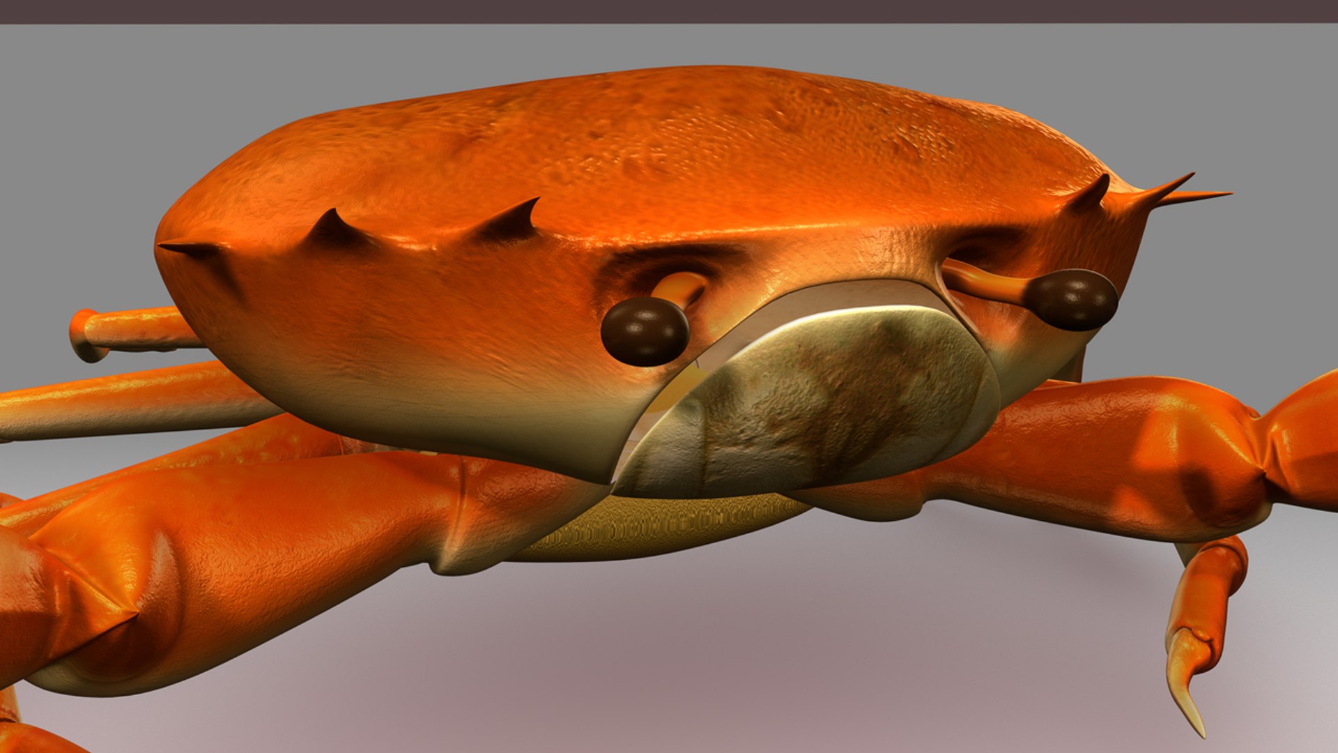 3d Sacculina Barnacles Parasitic