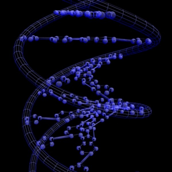3d dna base pairs model