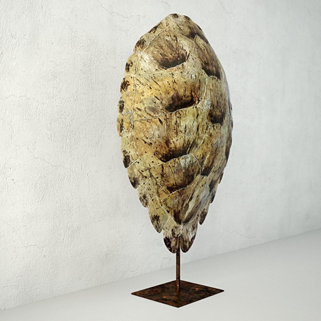 Faux Turtle Shell Sculpture 3D - TurboSquid 1197545