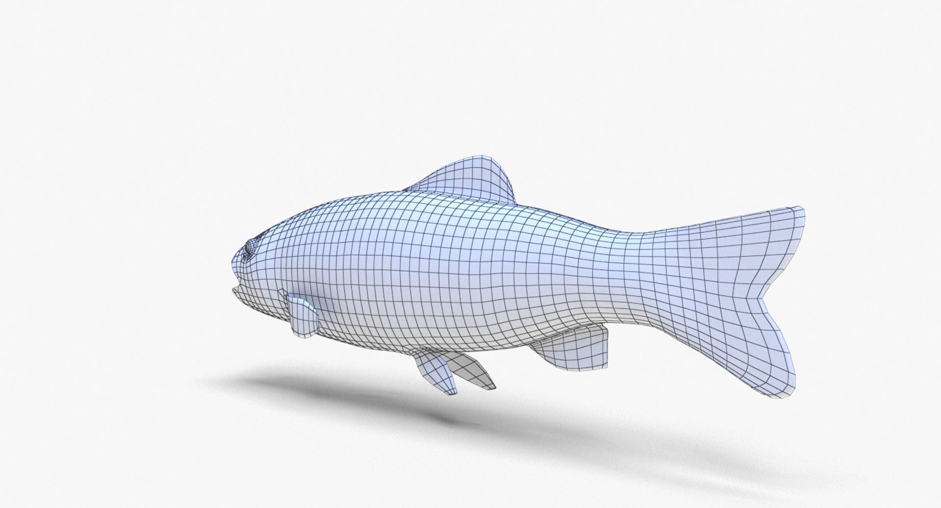 Rainbow Trout 3D Model - TurboSquid 1385798