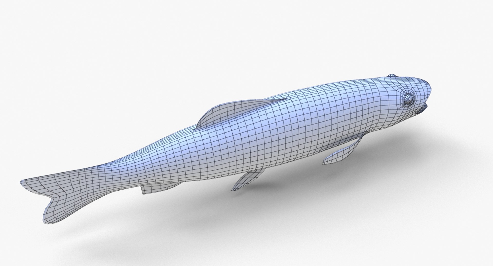 Rainbow Trout 3D Model - TurboSquid 1385798