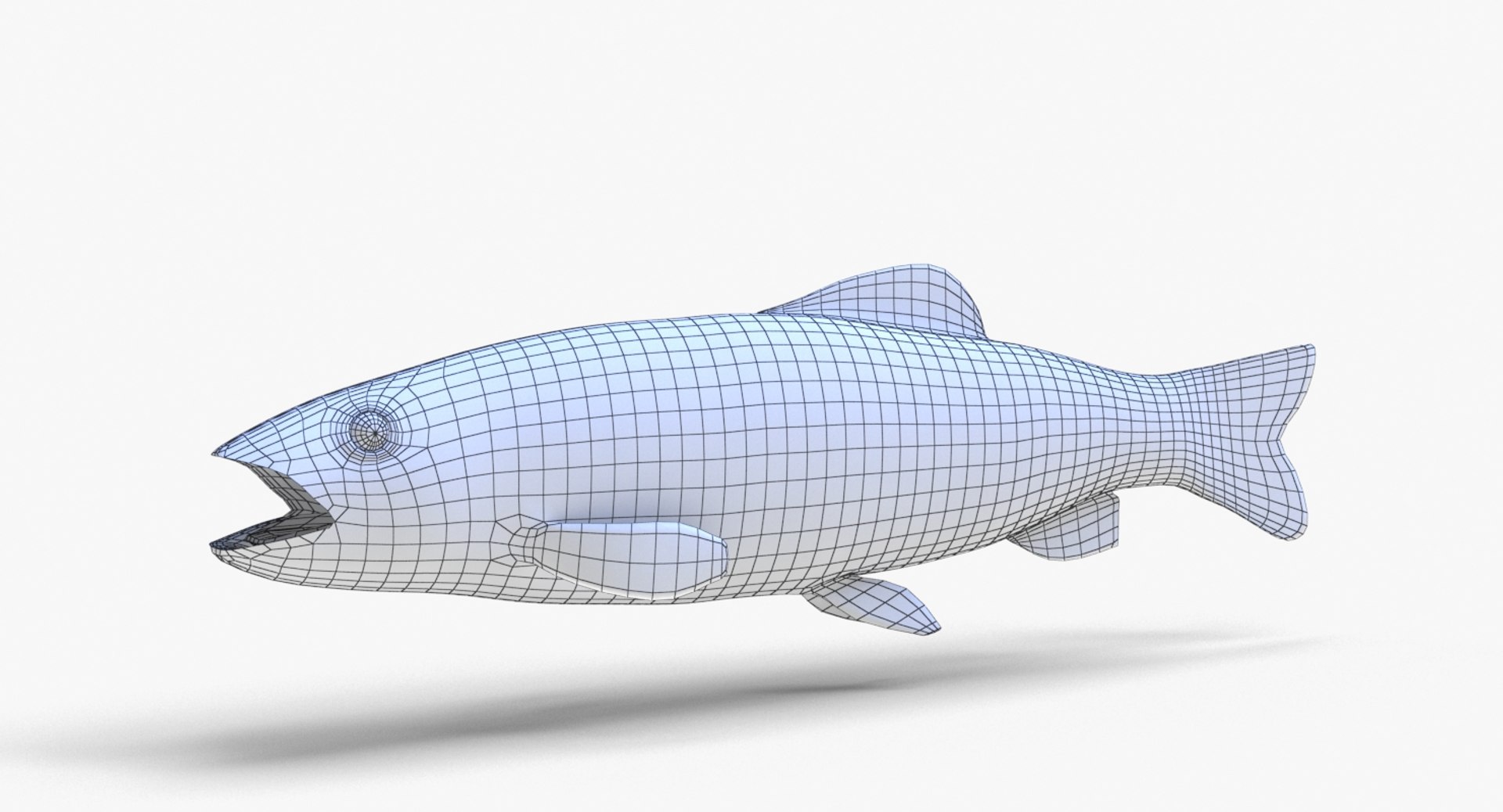 Rainbow Trout 3D Model - TurboSquid 1385798
