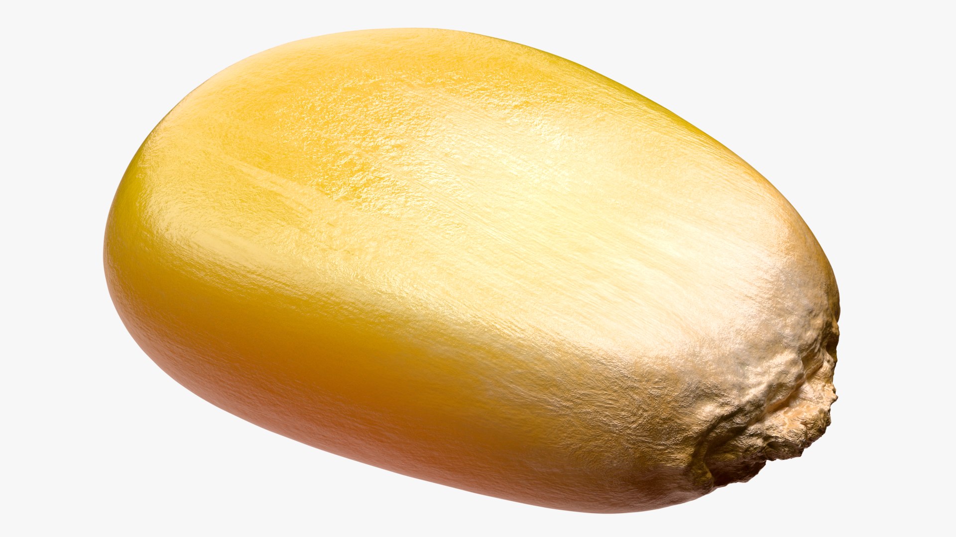 3D Corn Seed - TurboSquid 2340044