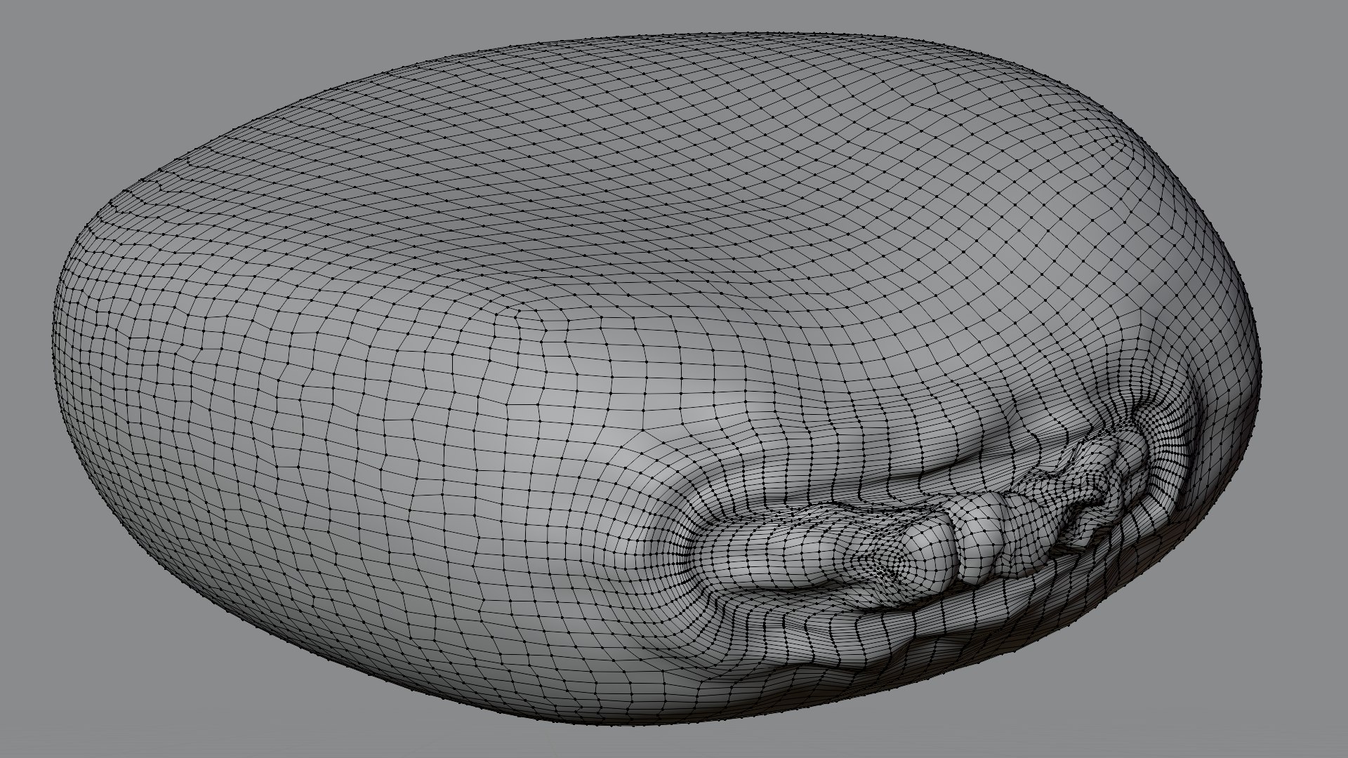 3D Corn Seed - TurboSquid 2340044