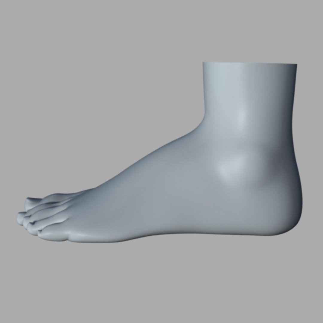 3d Woman Foot Model