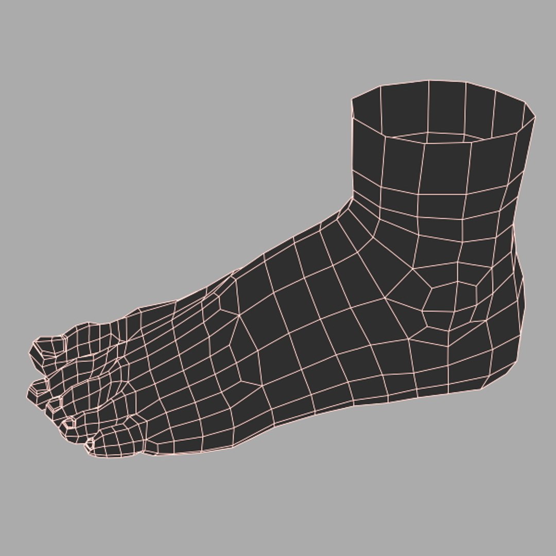 3d Woman Foot Model