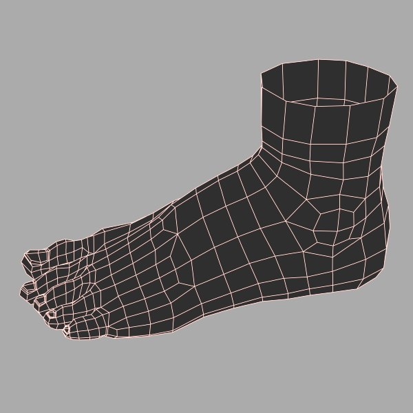 3d woman foot model