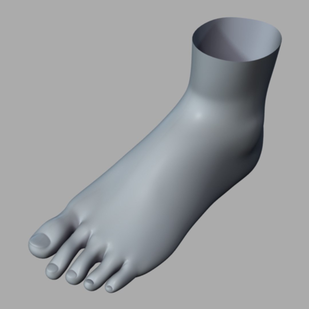 3d Woman Foot Model