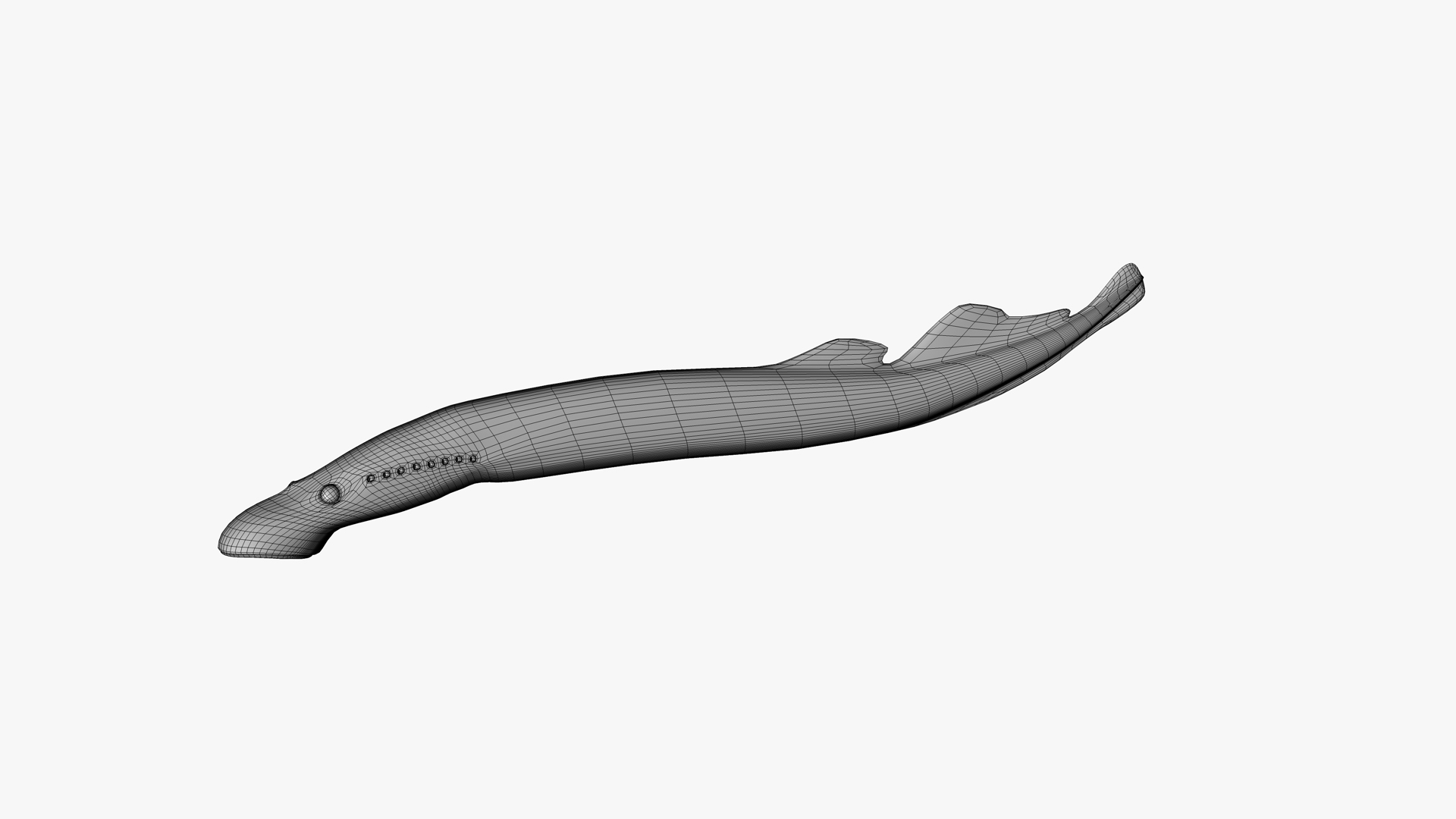 Sea Lamprey 3D Model - TurboSquid 2285764