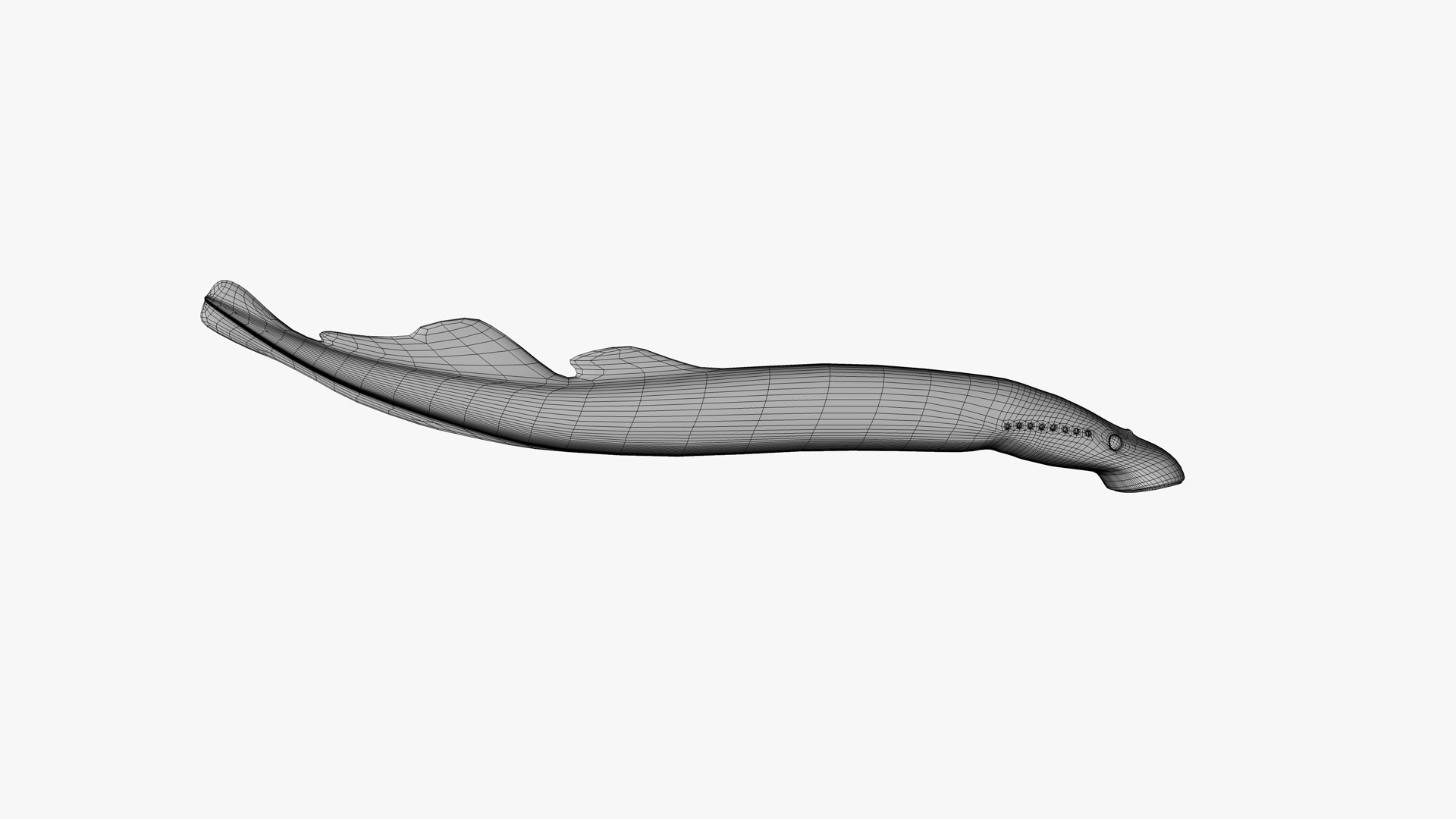 Sea Lamprey 3D Model - TurboSquid 2285764