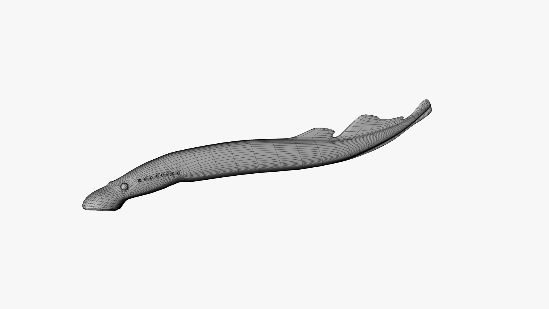 Sea Lamprey 3D Model - TurboSquid 2285764