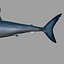 Maya Shark Animation
