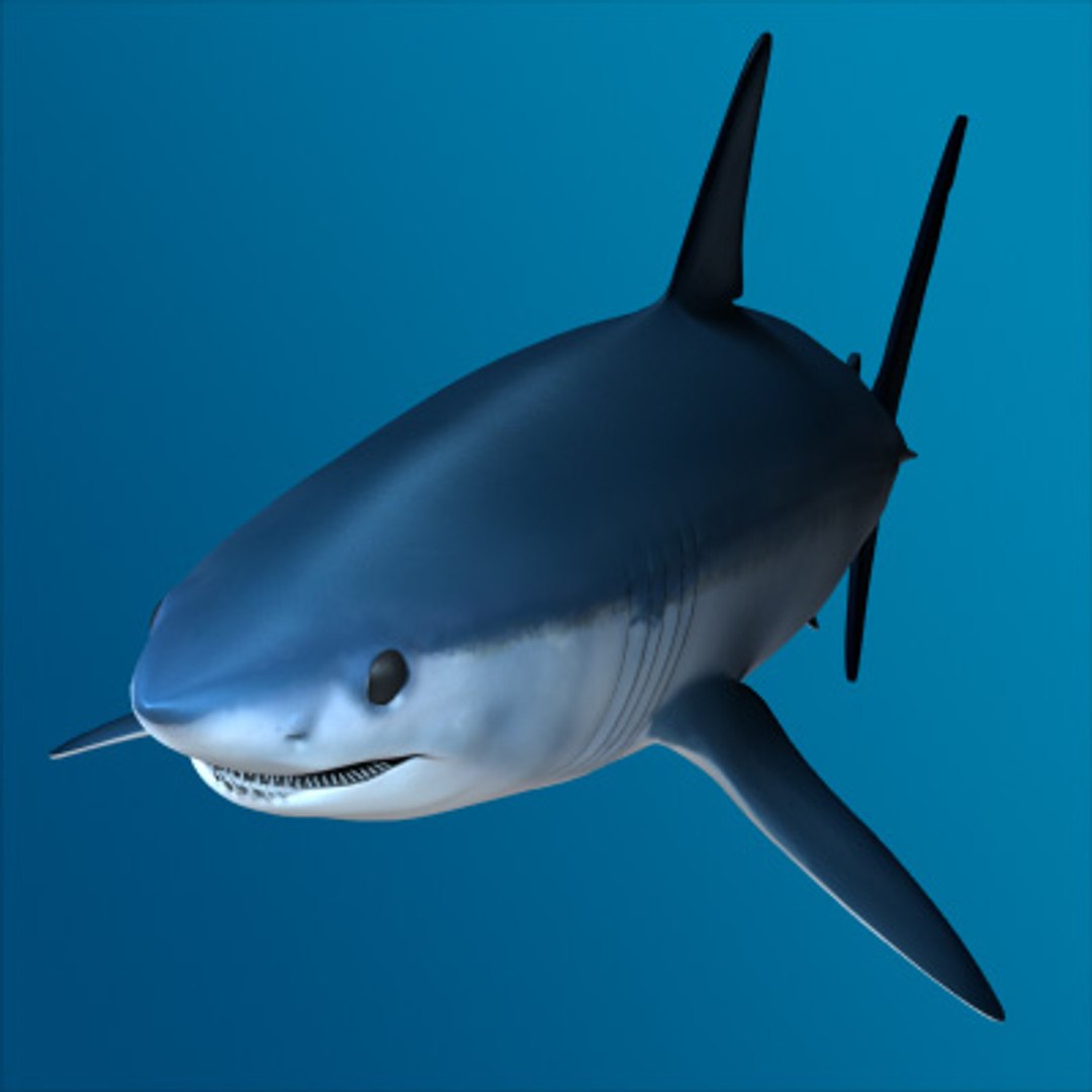 Maya Shark Animation