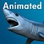 Maya Shark Animation