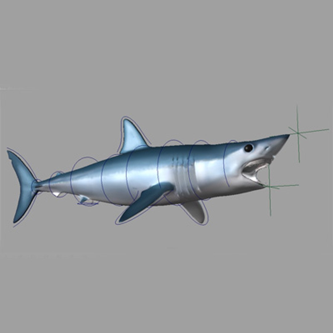 Maya Shark Animation