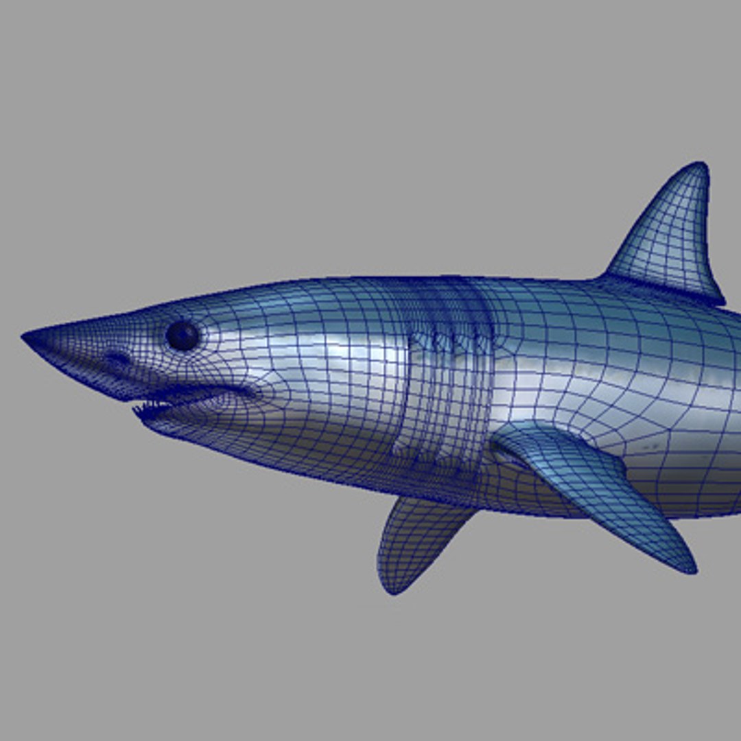 Maya Shark Animation