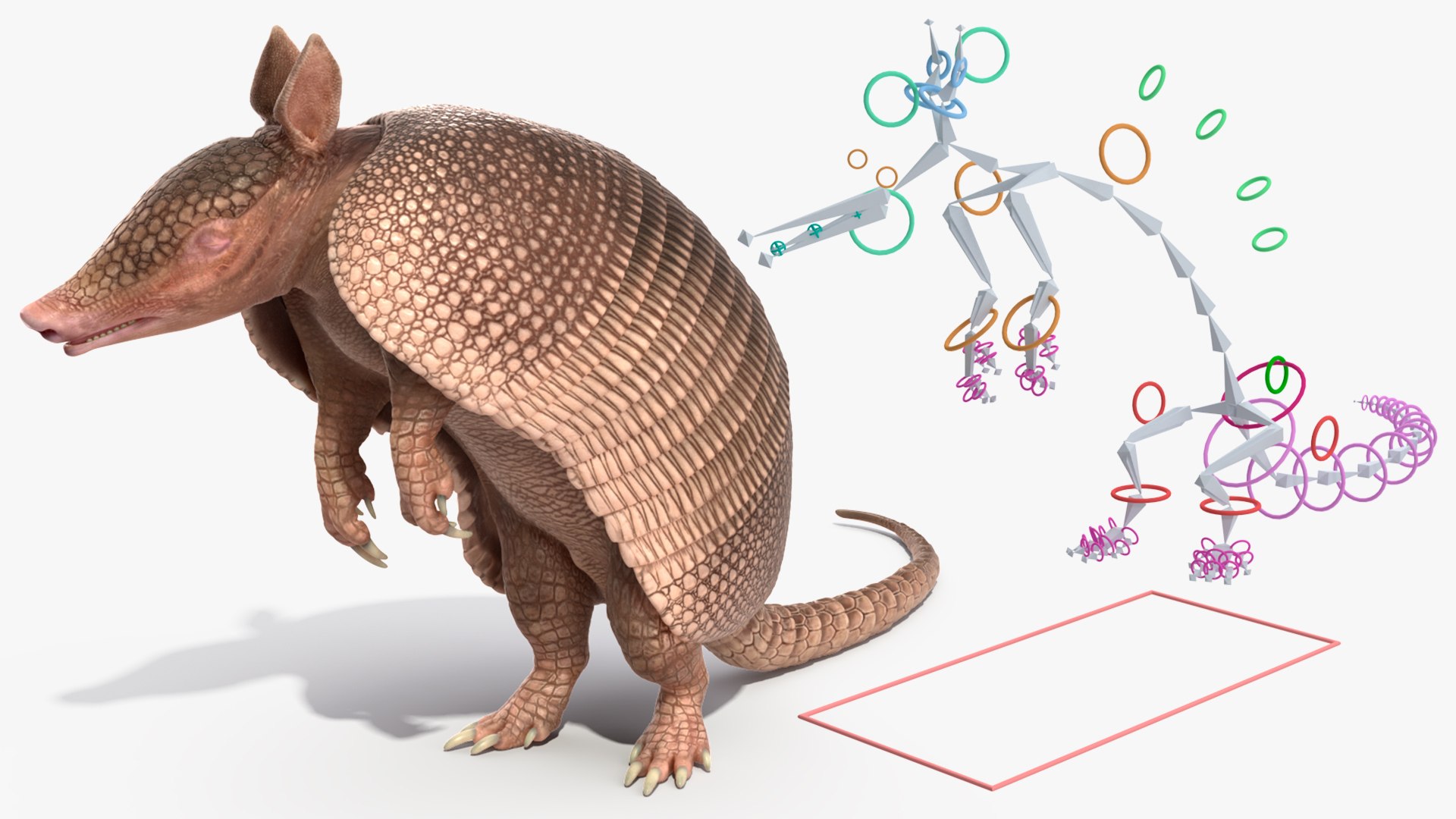 3d Armadillo Pink Rigged Model Turbosquid 2248557