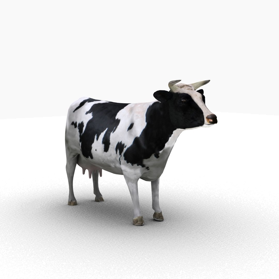 3d cow rigged model