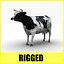 3d cow rigged model