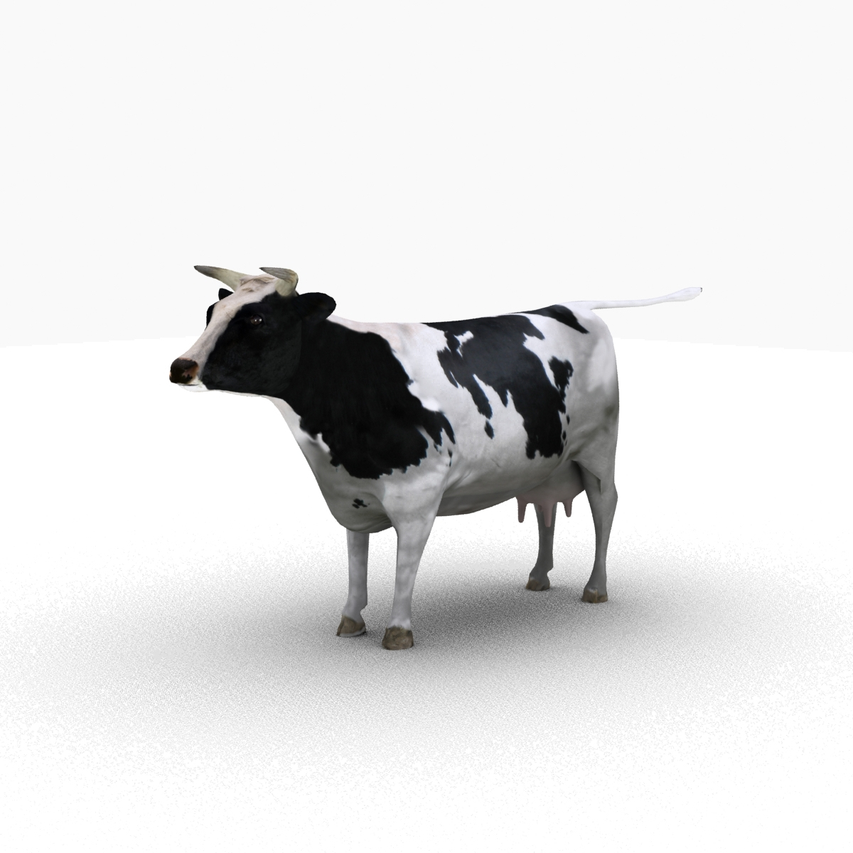 3d cow rigged model