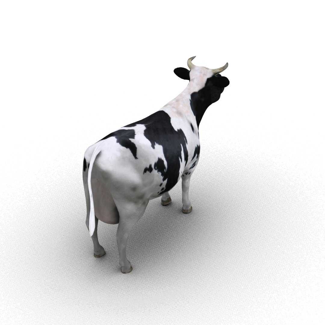 3d cow rigged model