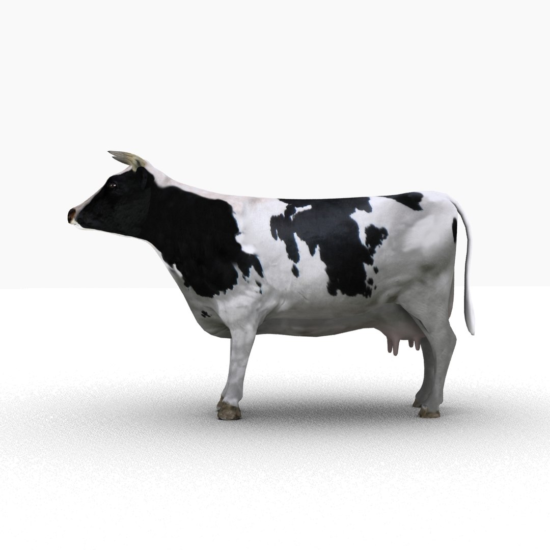 3d cow rigged model