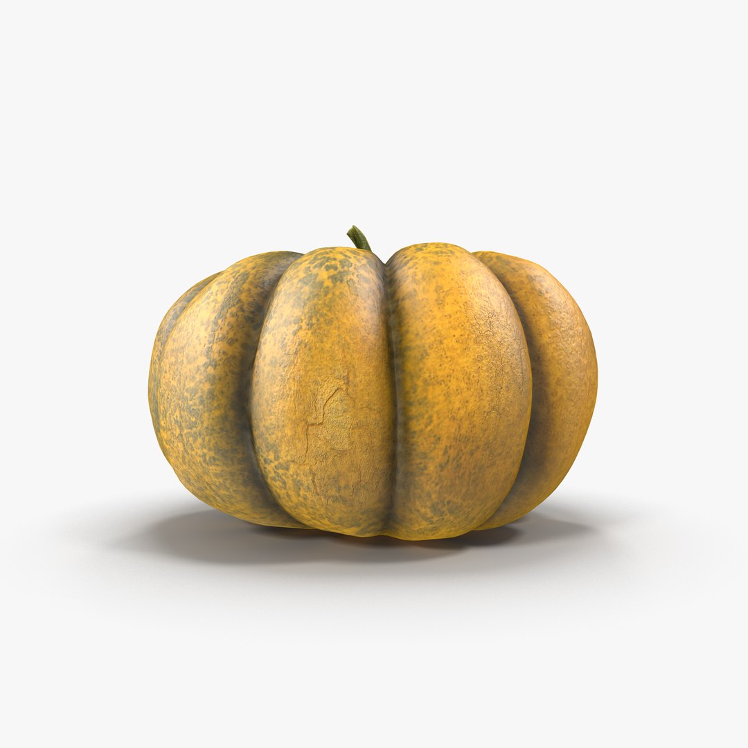 pumpkin 3d model