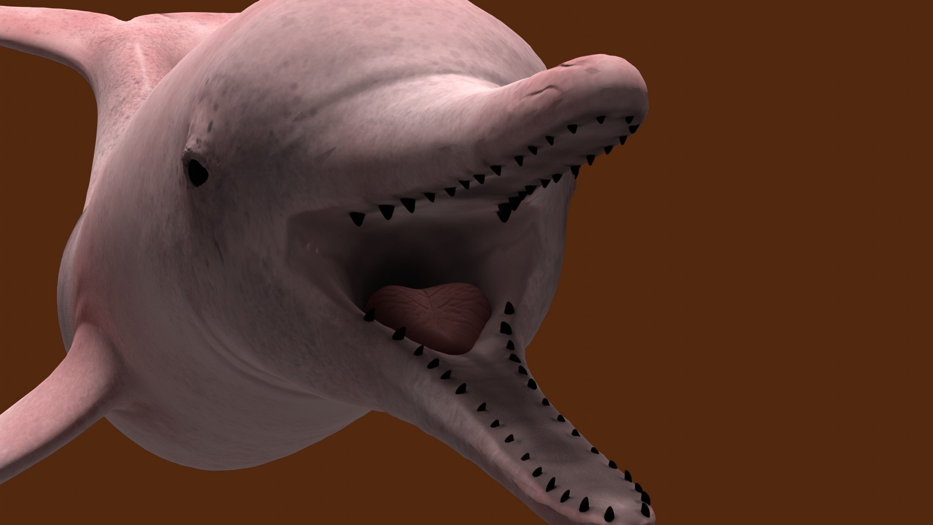 Boto 3D Model - TurboSquid 1696759