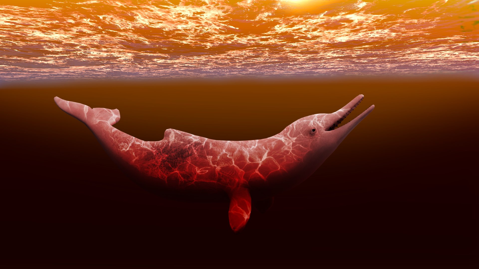 Boto 3D Model - TurboSquid 1696759